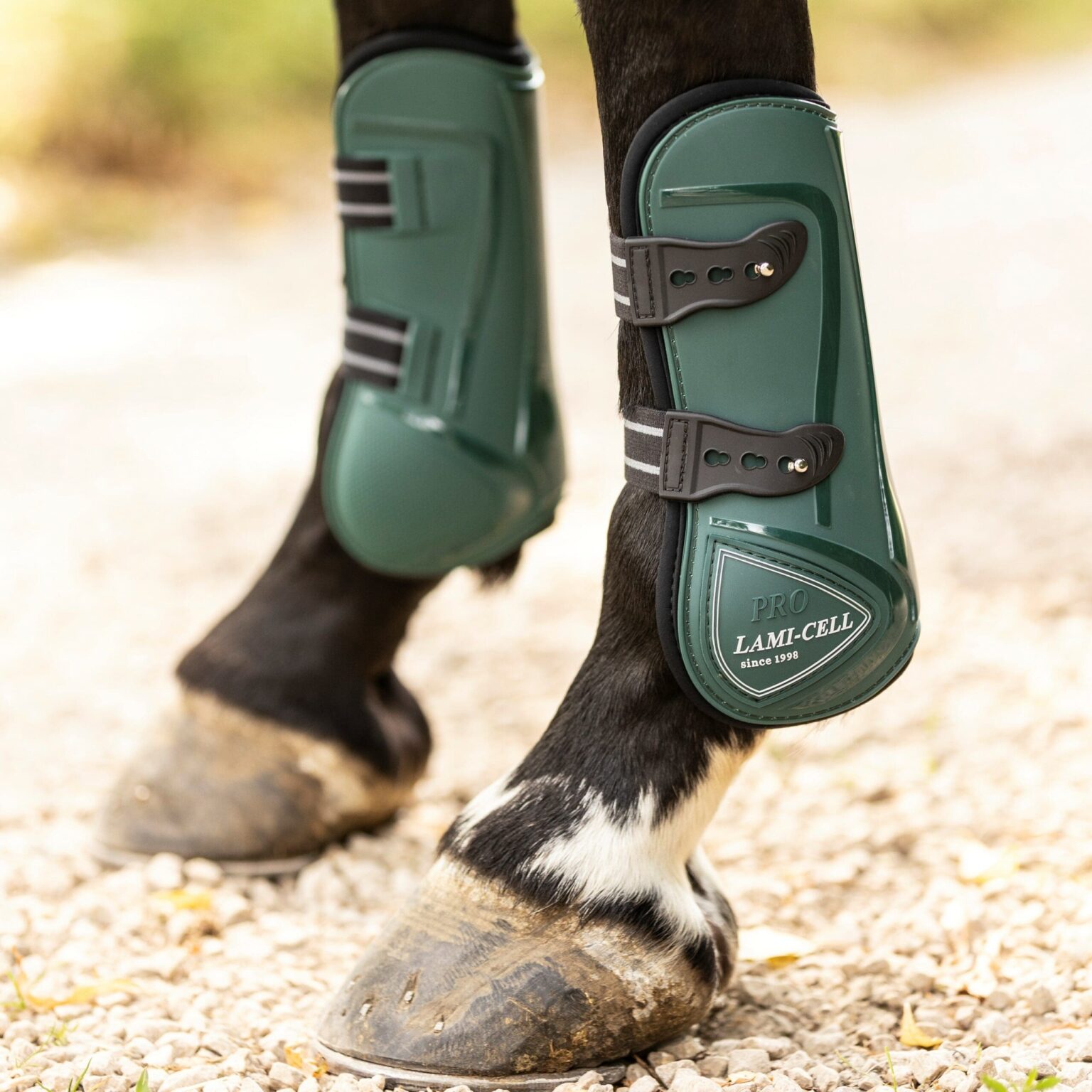 Lami-Cell Protection Boots Elite - The Connected Rider San Antonio ...