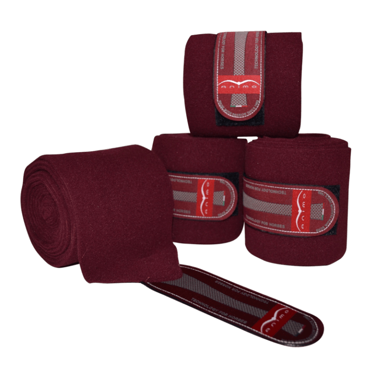 Animo - The Connected Rider San Antonio English Tack Store