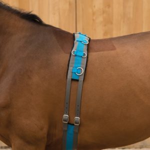 Lunge Line Soft-Multiple Color Choices - The Connected Rider San ...