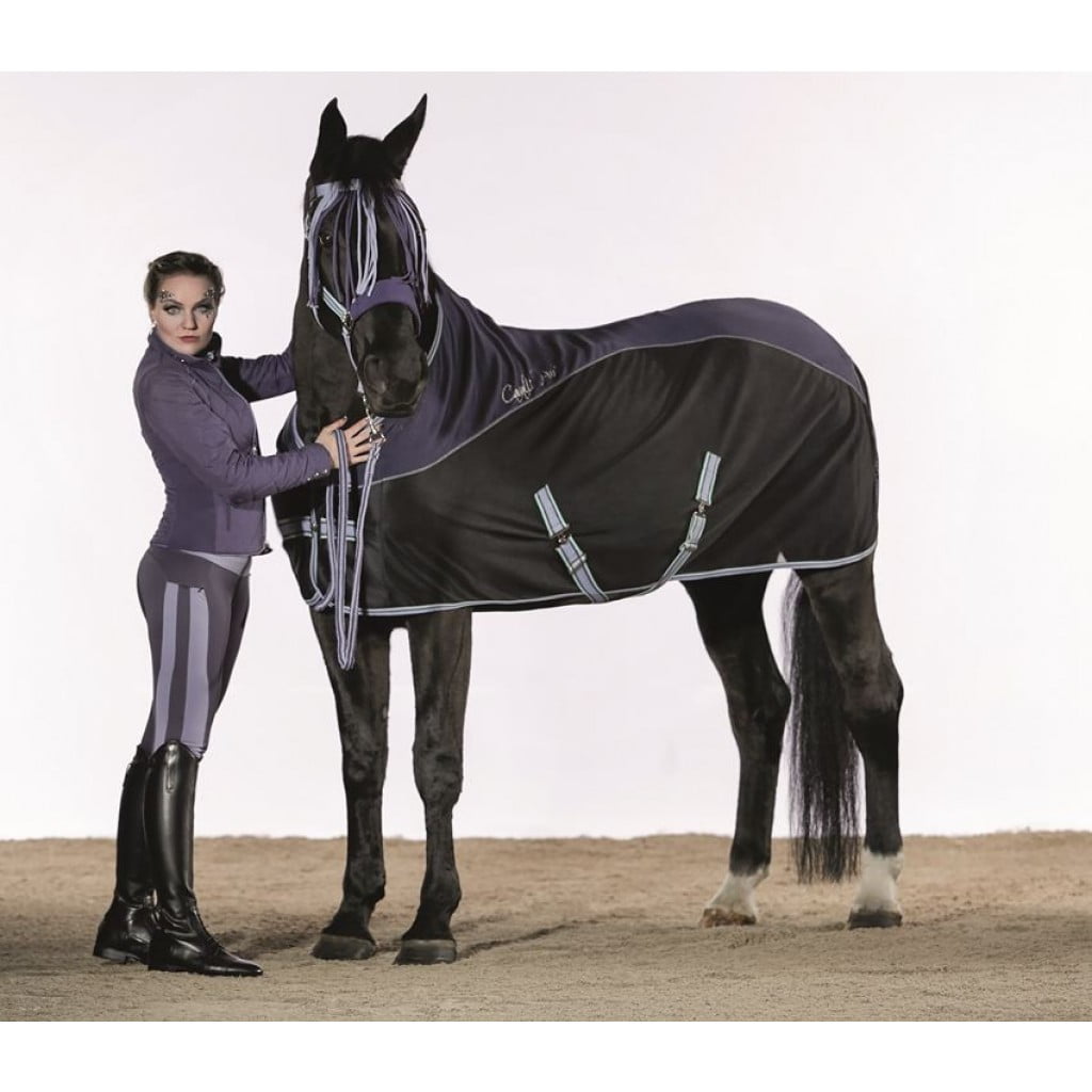 English Horse Tack Sale - Discount Tack - The Connected Rider San ...