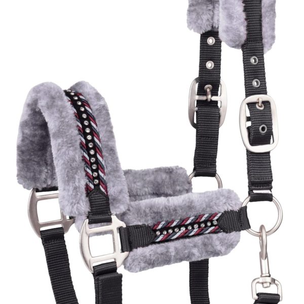 Halters-Leather & Nylon Horse Halters - Horse Halters - The Connected ...