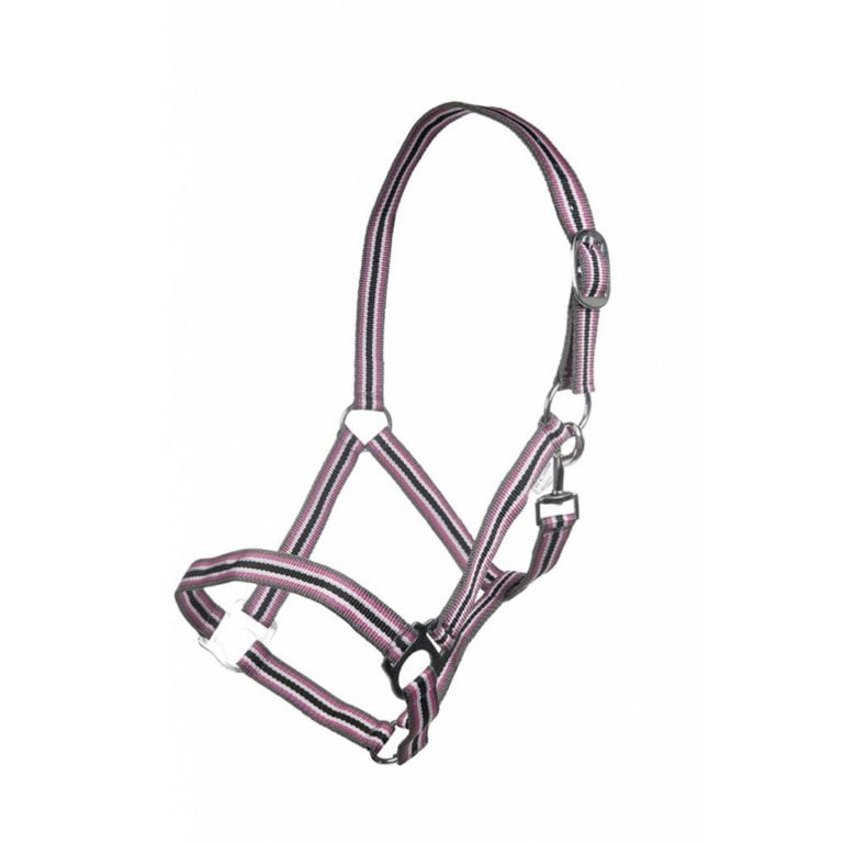 Halters-Leather & Nylon Horse Halters - Horse Halters - The Connected ...