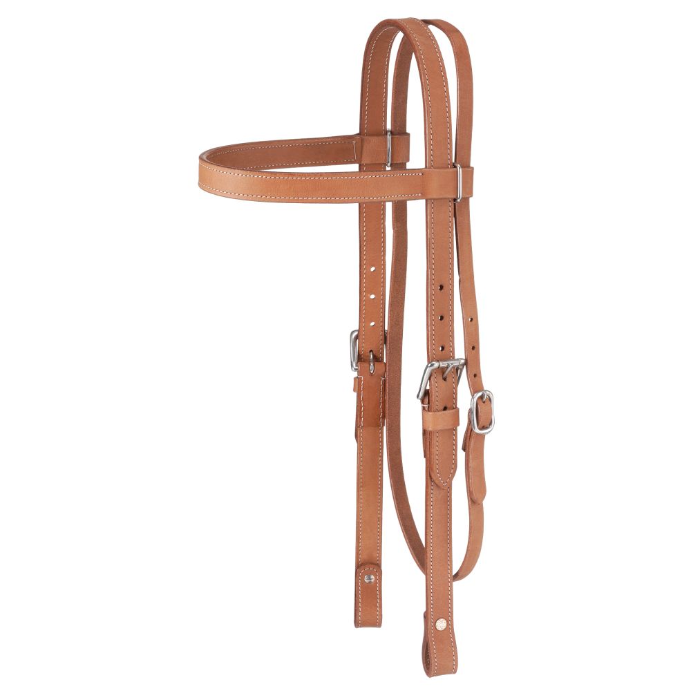 King Series Draft Horse Show Halter with Lead - The Connected Rider San ...