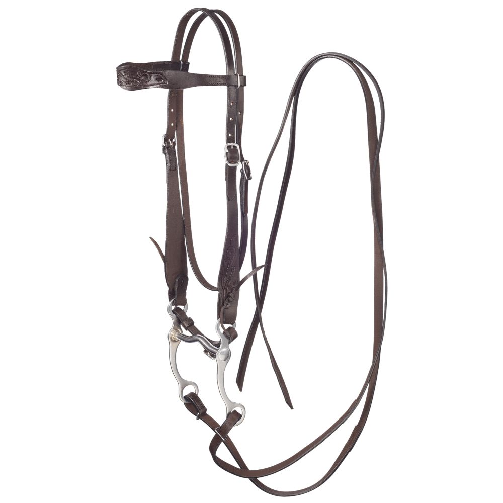 Western Bridles and Headstalls - The Connected Rider San Antonio ...