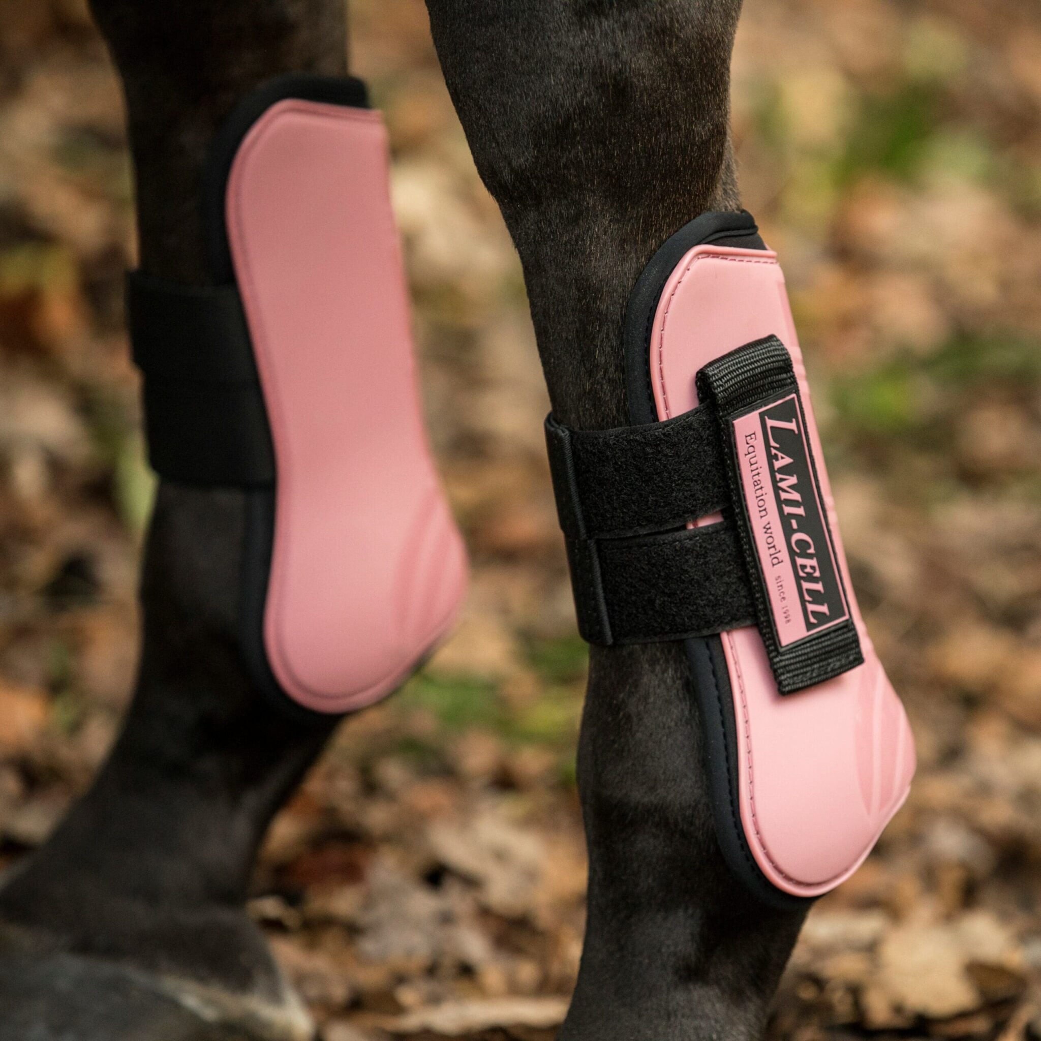 Protective Boots - Tendon & Horse Boots - The Connected Rider San ...