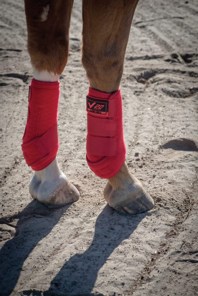 HKM Protection Boots Breathable - The Connected Rider San Antonio ...