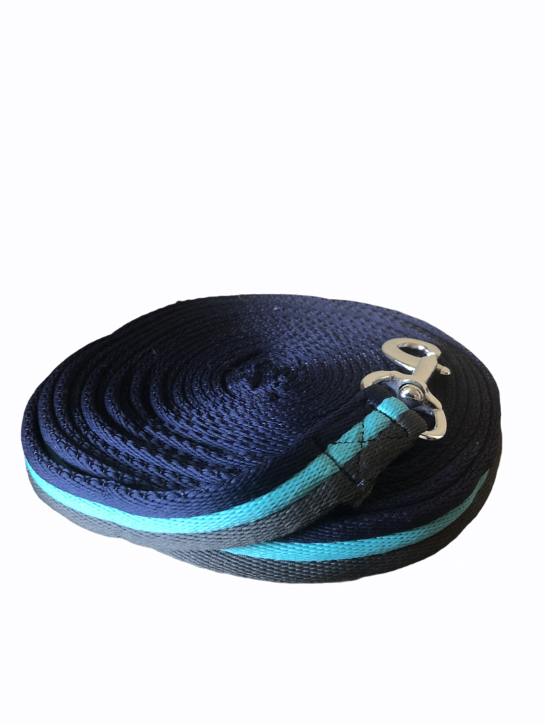 Lunging Equipment - The Connected Rider San Antonio English Tack Store