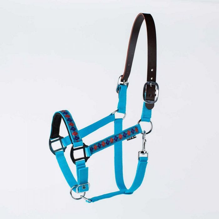 Halters-Leather & Nylon Horse Halters - Horse Halters - The Connected ...