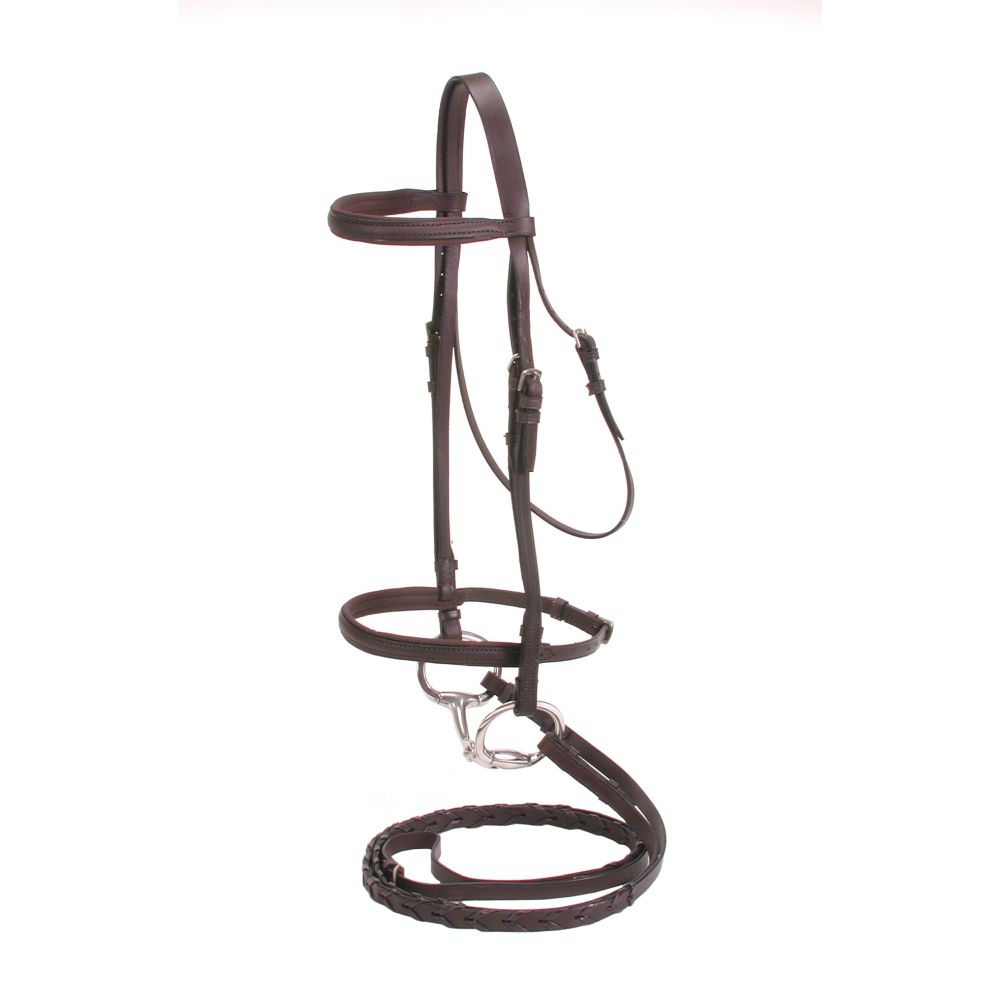 Raised Snaffle Bridle with Web Reins - The Connected Rider San Antonio ...