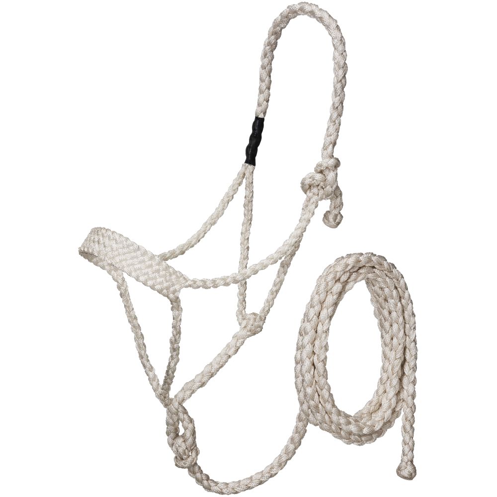 Stable Halters & Leads Mule Tape Halters - The Connected Rider San ...